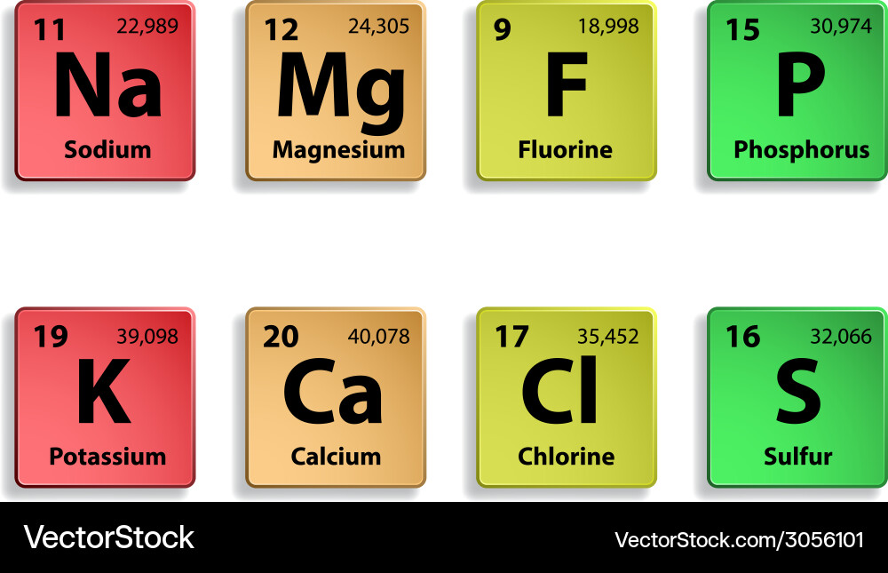Major dietary elements Royalty Free Vector Image