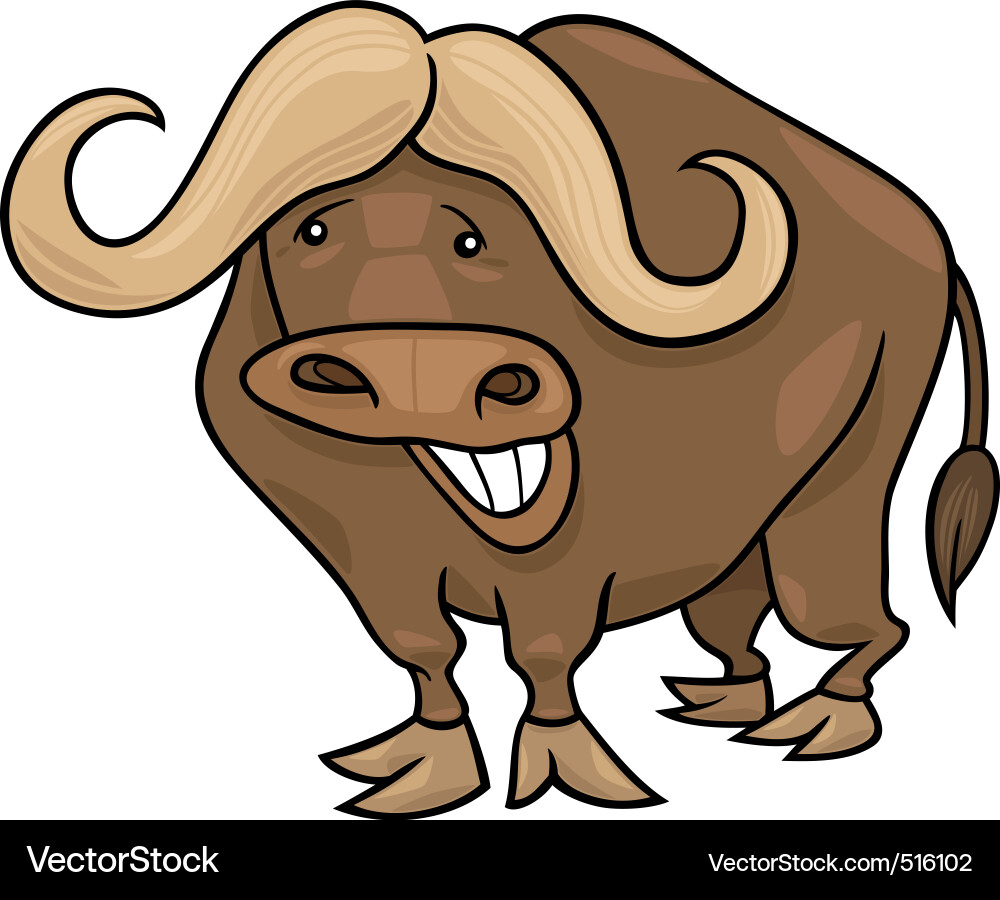 African buffalo Royalty Free Vector Image - VectorStock