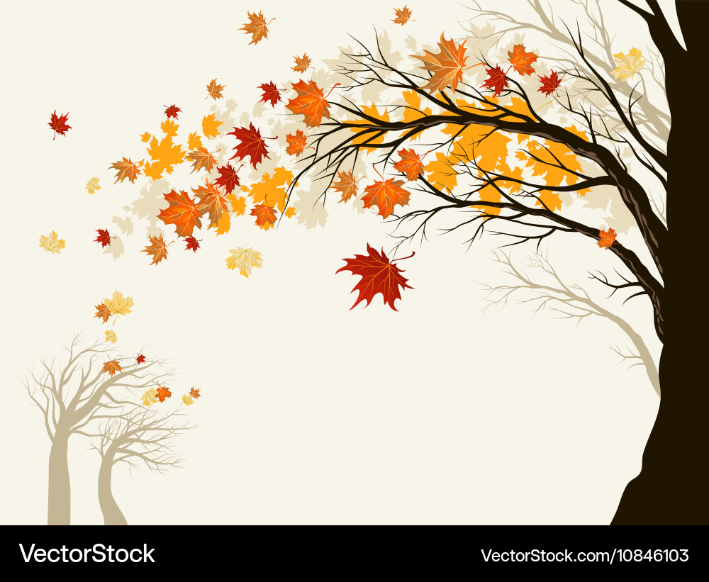 Autumn tree Royalty Free Vector Image - VectorStock