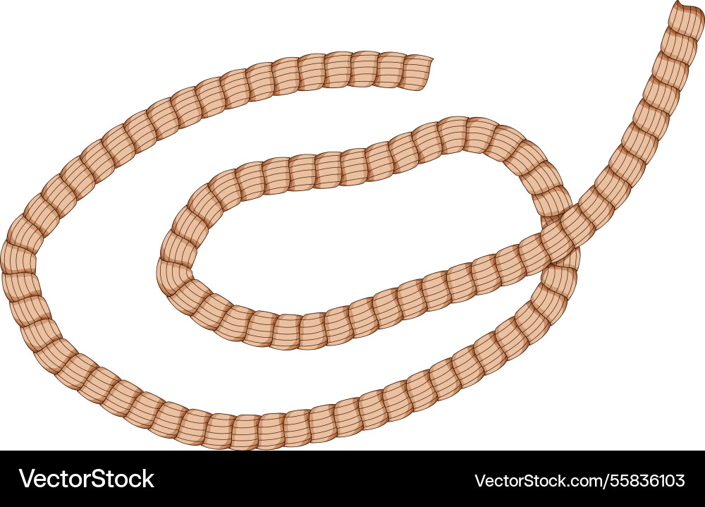 Polyester rope cartoon Royalty Free Vector Image