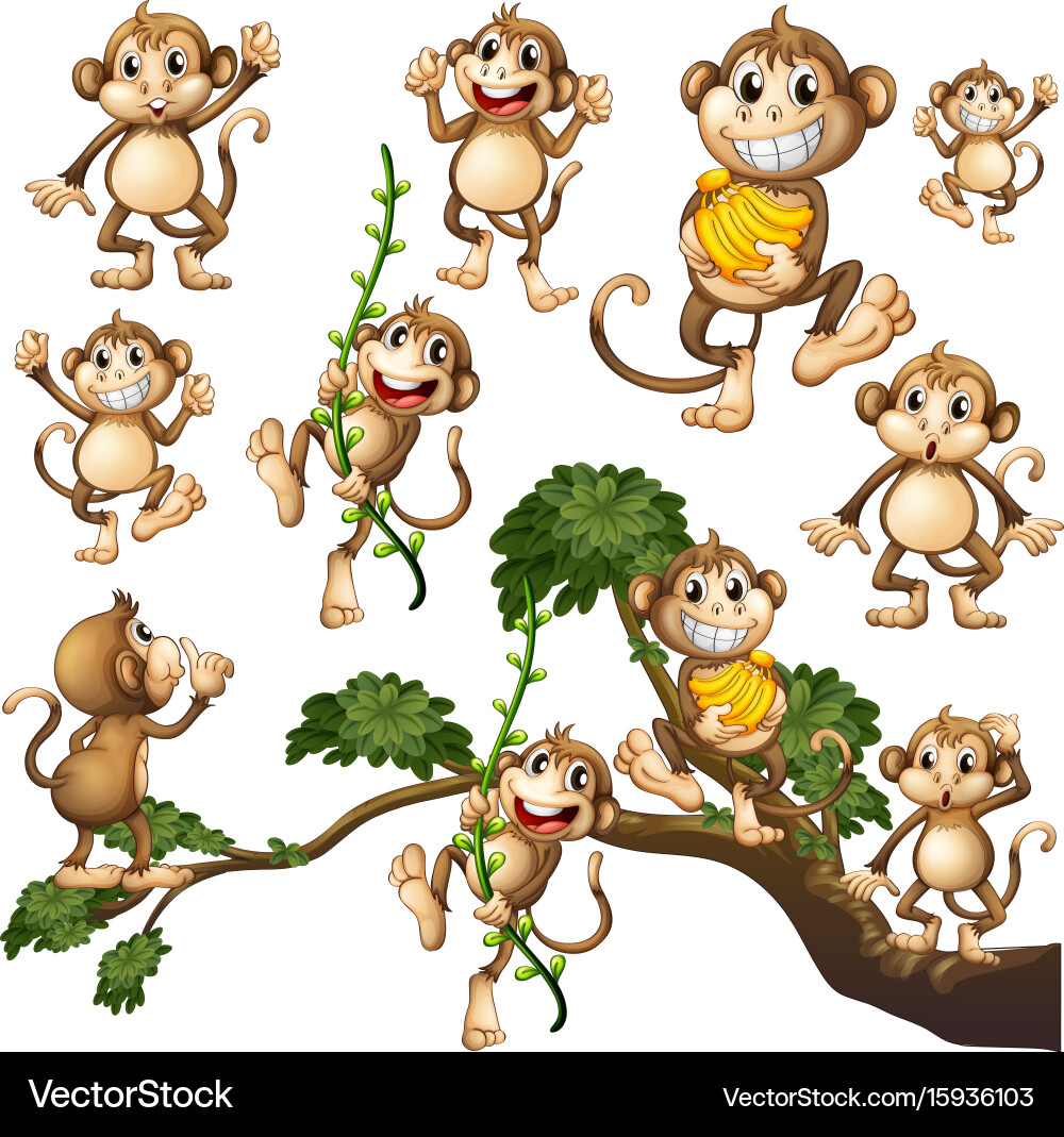 Wild monkeys in different actions Royalty Free Vector Image
