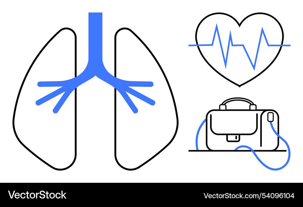 Medical elements including lungs heart with ecg Vector Image