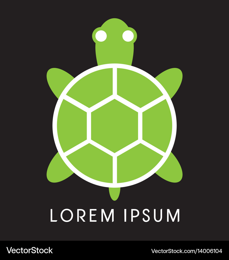 Turtle top view graphic Royalty Free Vector Image