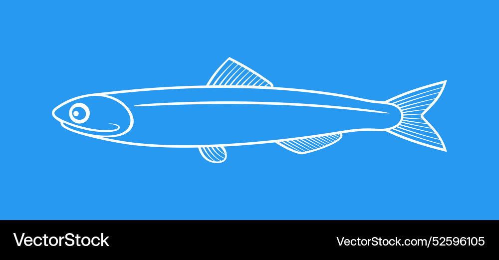 Anchovy Royalty Free Vector Image - VectorStock
