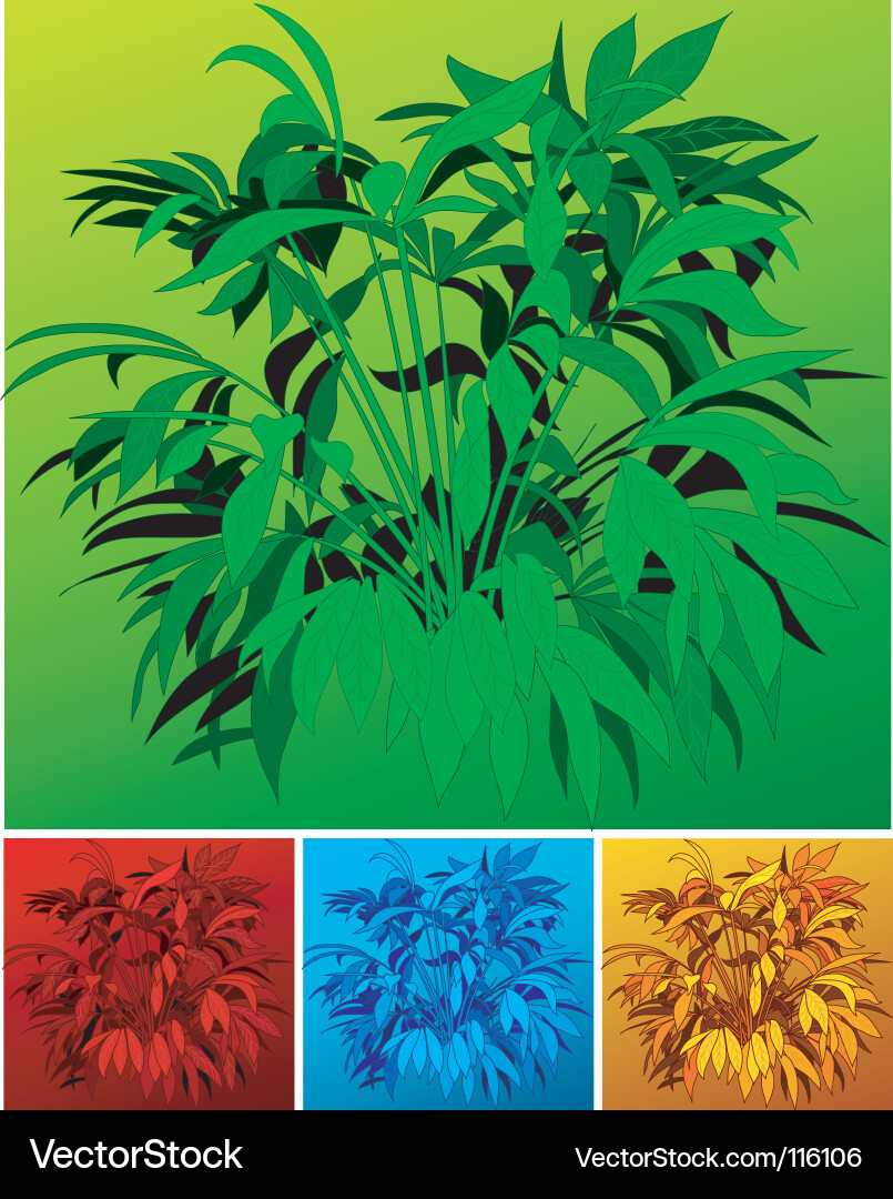 Bush Royalty Free Vector Image - VectorStock