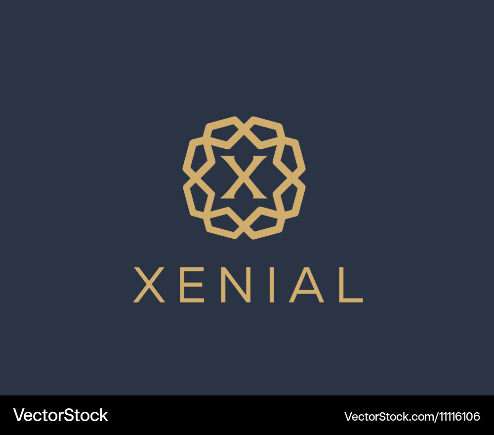 Premium letter x logo icon design luxury Vector Image