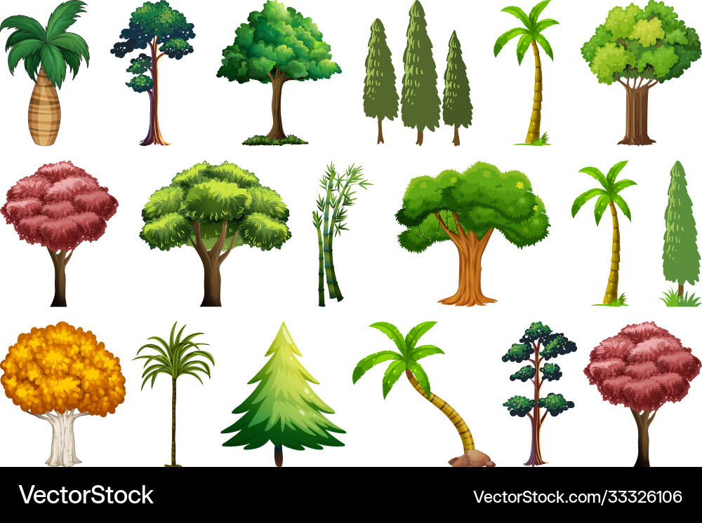 Set variety plants and trees Royalty Free Vector Image