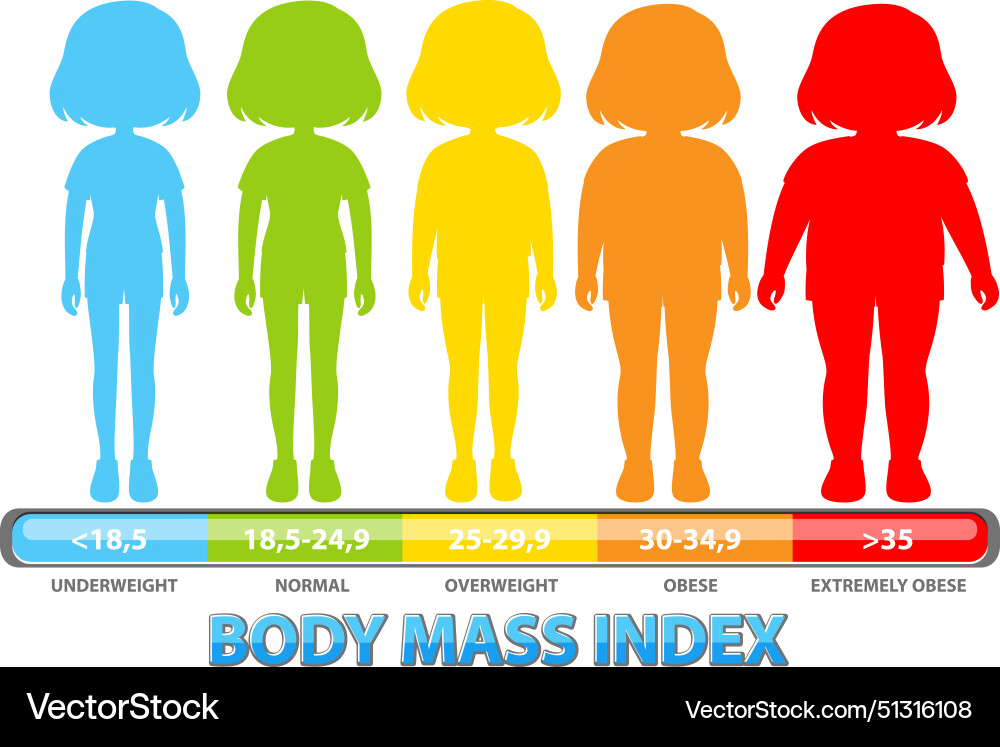 Colorful bmi chart with human silhouettes Vector Image