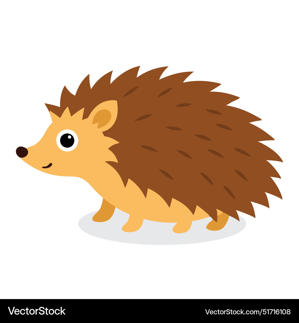Hedgehog animal isolated flat on white background Vector Image