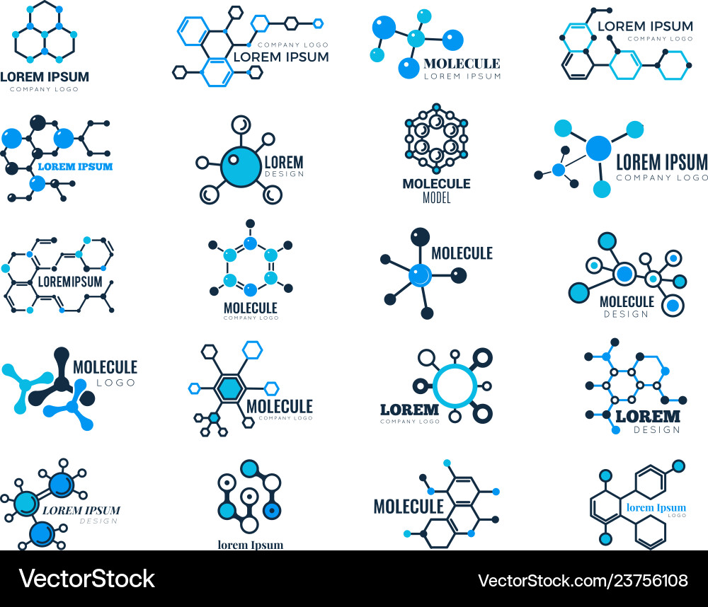Molecular Evolution Concepts Royalty Free Vector Image