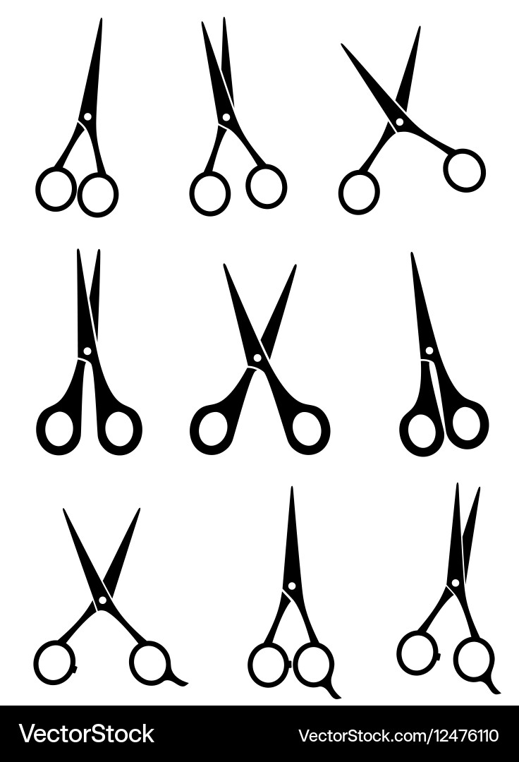 Black scissors on white background Royalty Free Vector Image