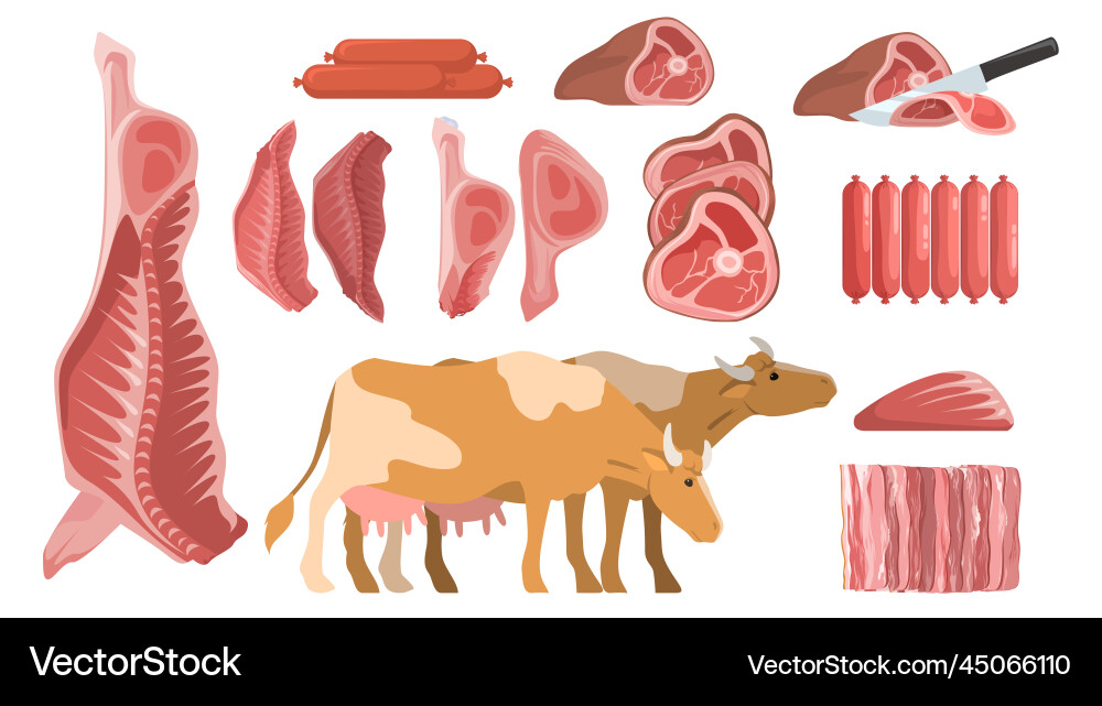Cartoon fresh raw beef meat set Royalty Free Vector Image