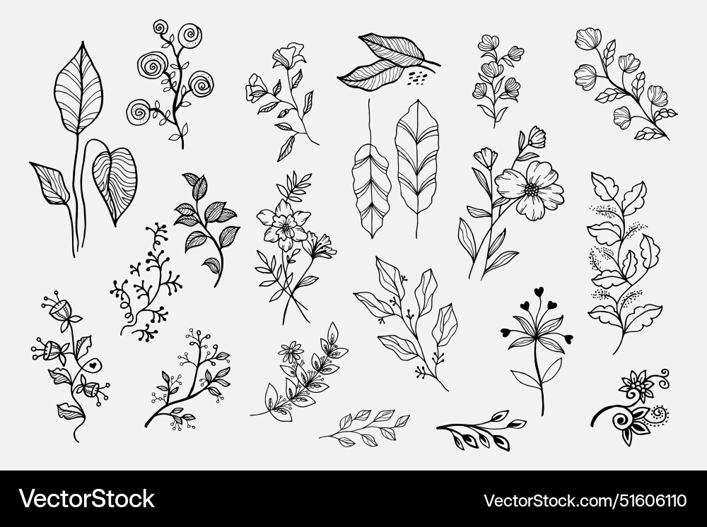 Hand drawn design floral elements Royalty Free Vector Image