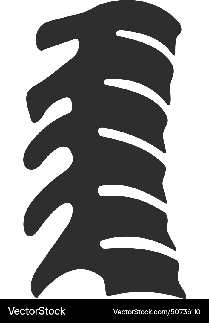 Human spine bone icon orthopedic black symbol Vector Image