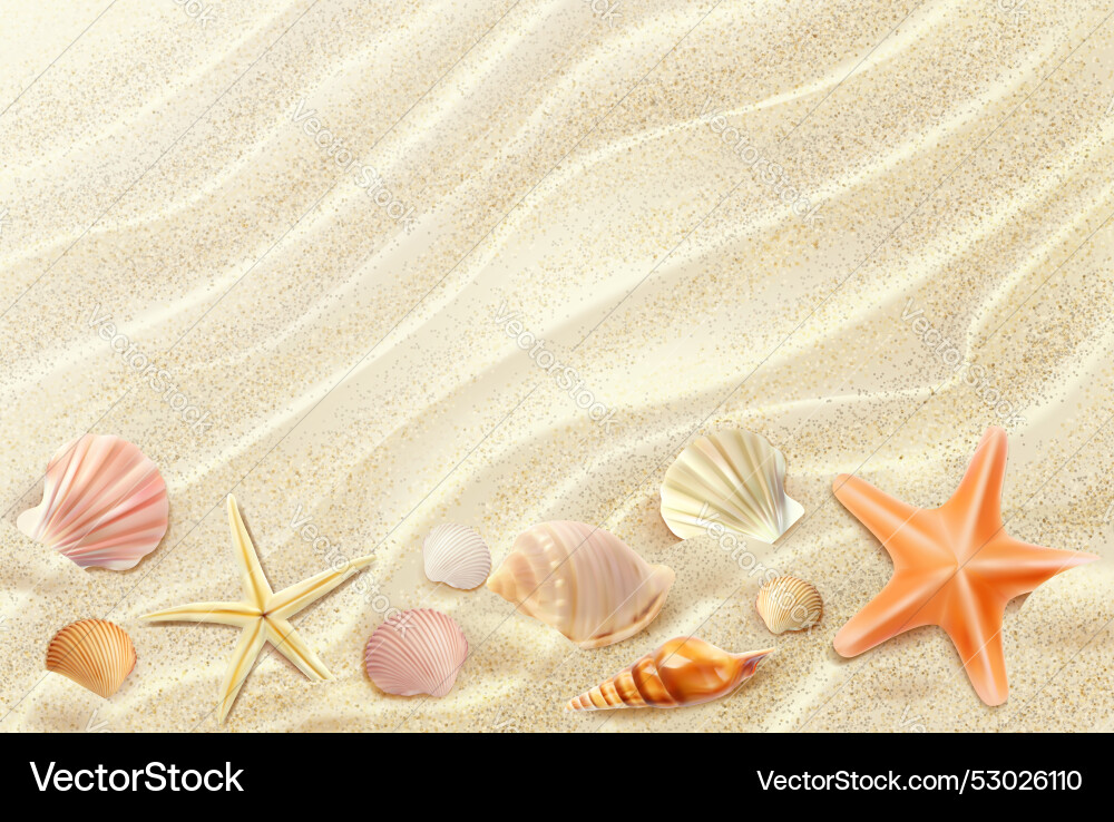 Realistic sand beach top view seashells starfish Vector Image