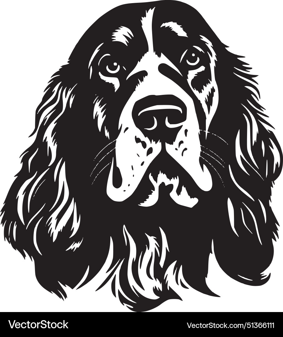 Cocker spaniel - high quality logo ideal Vector Image