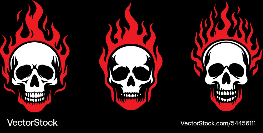 Flaming skulls set Royalty Free Vector Image - VectorStock