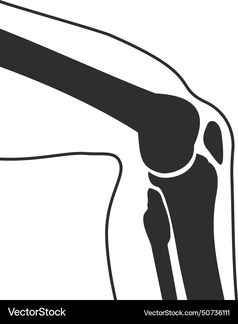 Human knee joint black silhouette anatomy Vector Image