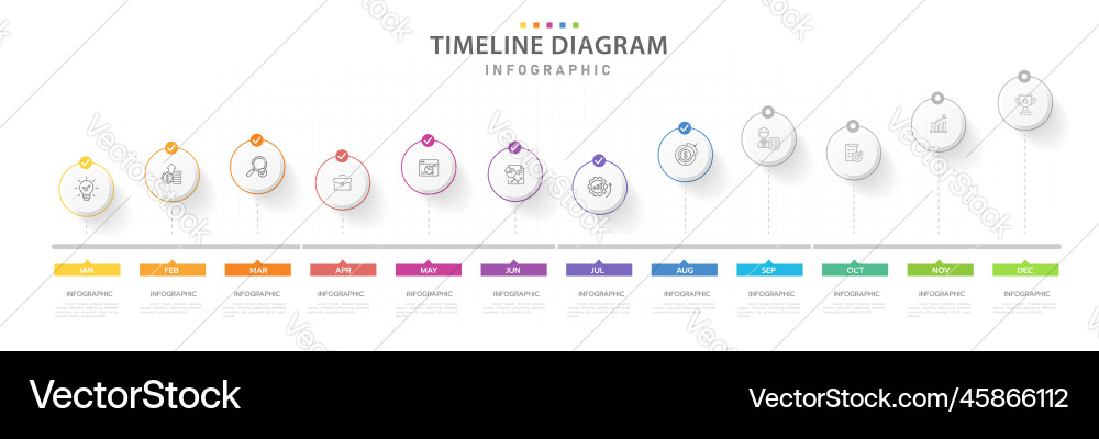 Infographic 12 months timeline diagram calendar Vector Image