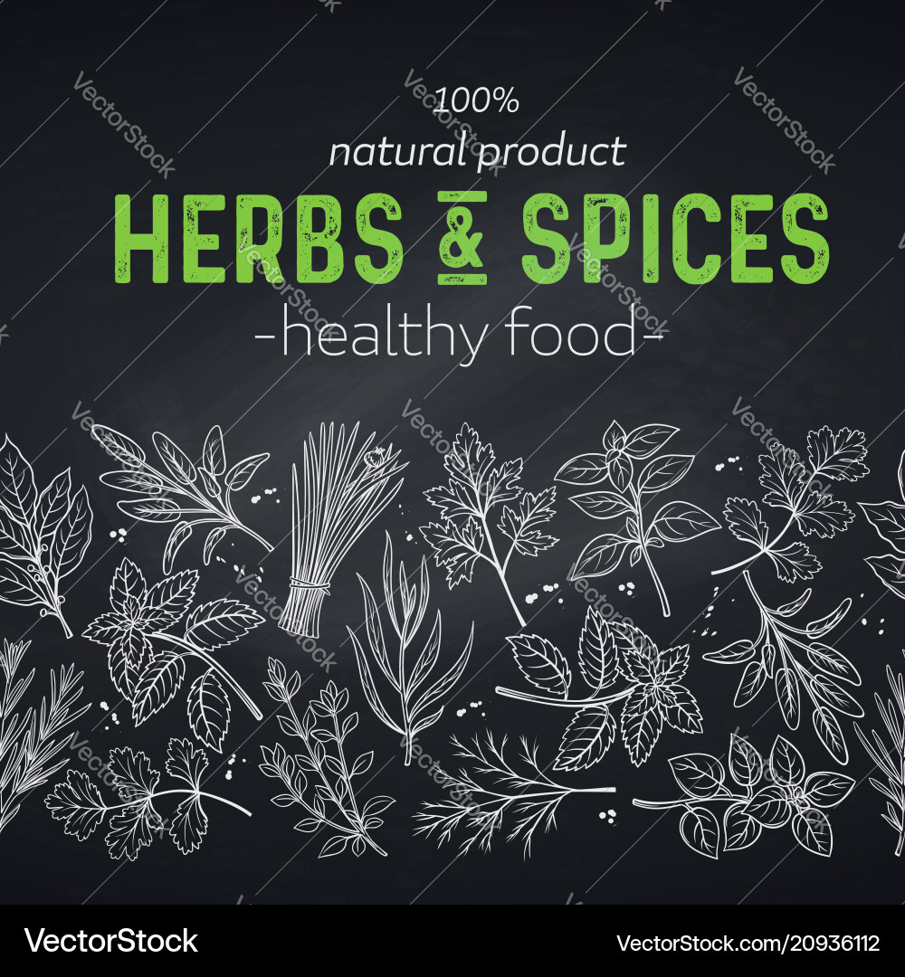 Seamless border herbs and spices Royalty Free Vector Image