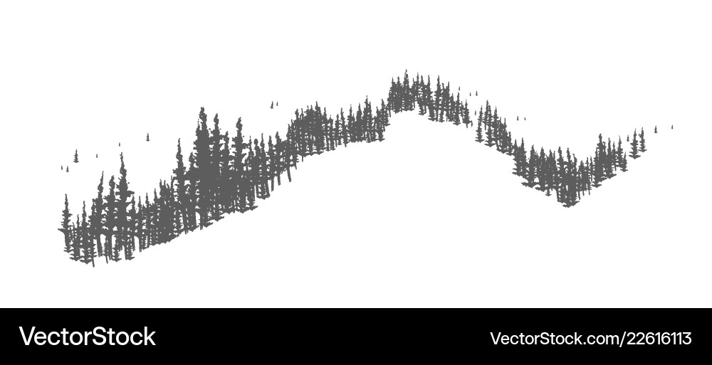 Coniferous Forest Landscape Royalty Free Vector Image