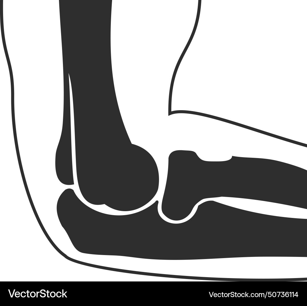 Elbow joint bones hand anatomy black Royalty Free Vector