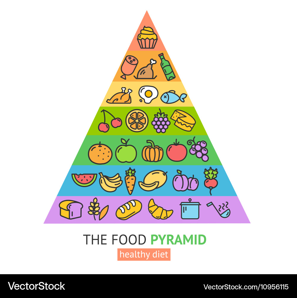 Healthy foods pyramid Royalty Free Vector Image