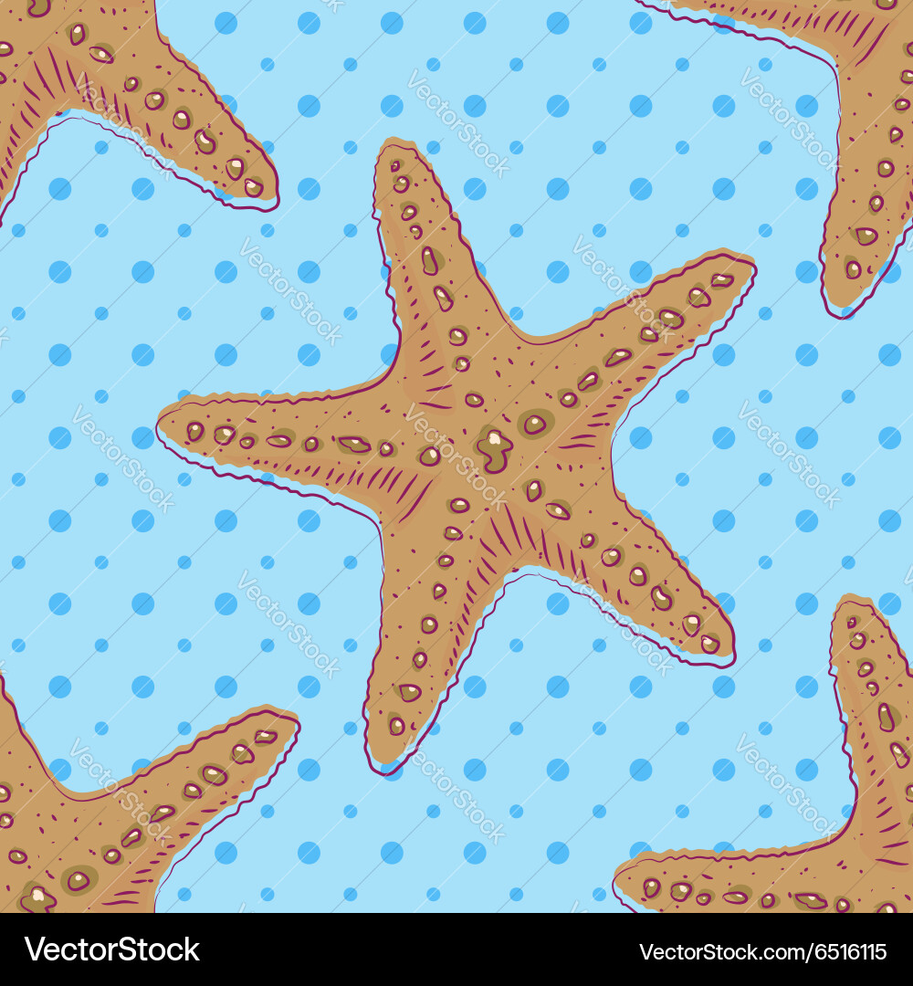 Sea star pattern Royalty Free Vector Image - VectorStock