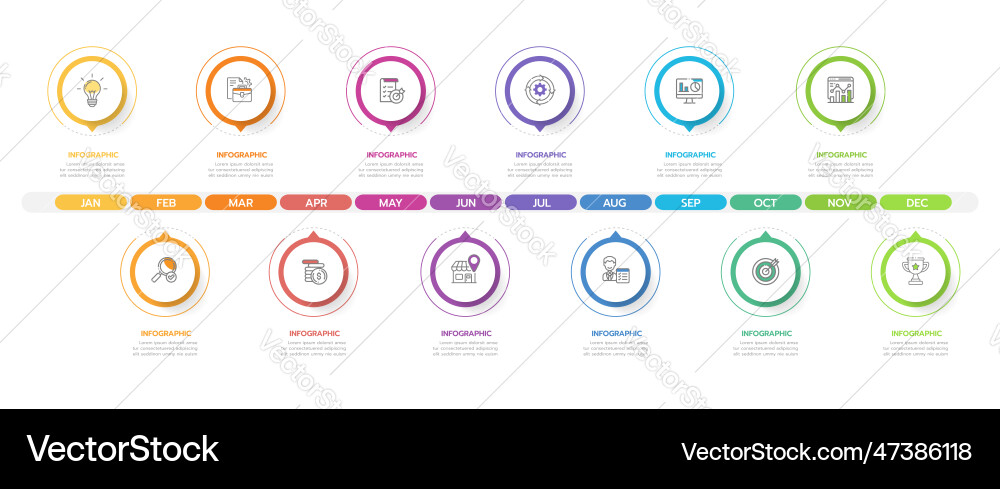 Infographic 12 steps monthly timeline diagram Vector Image