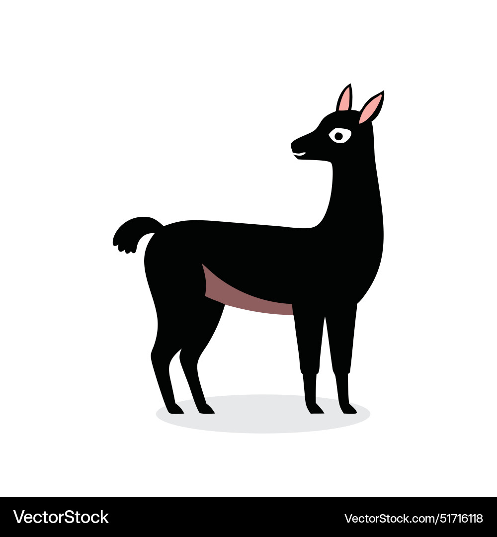 Llama animal isolated flat on white background Vector Image