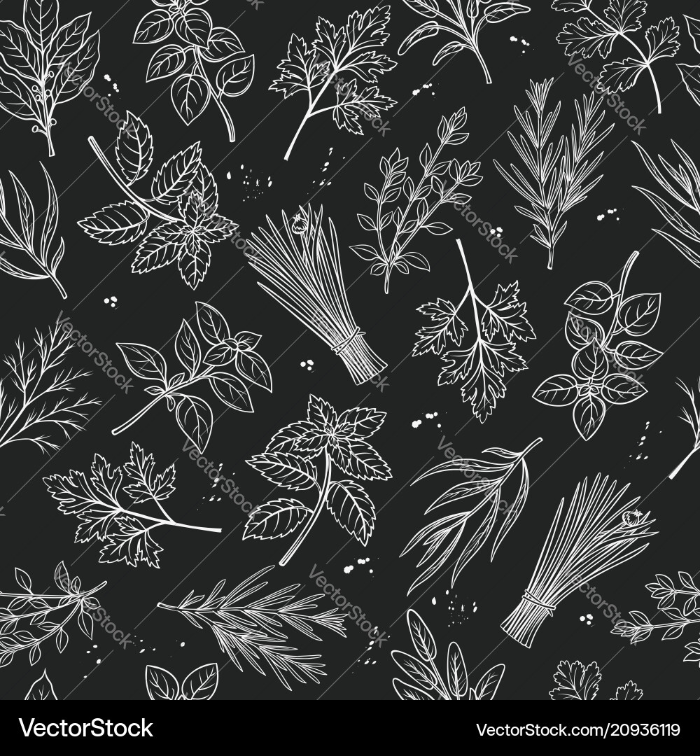 Sketch herbs and spices Royalty Free Vector Image