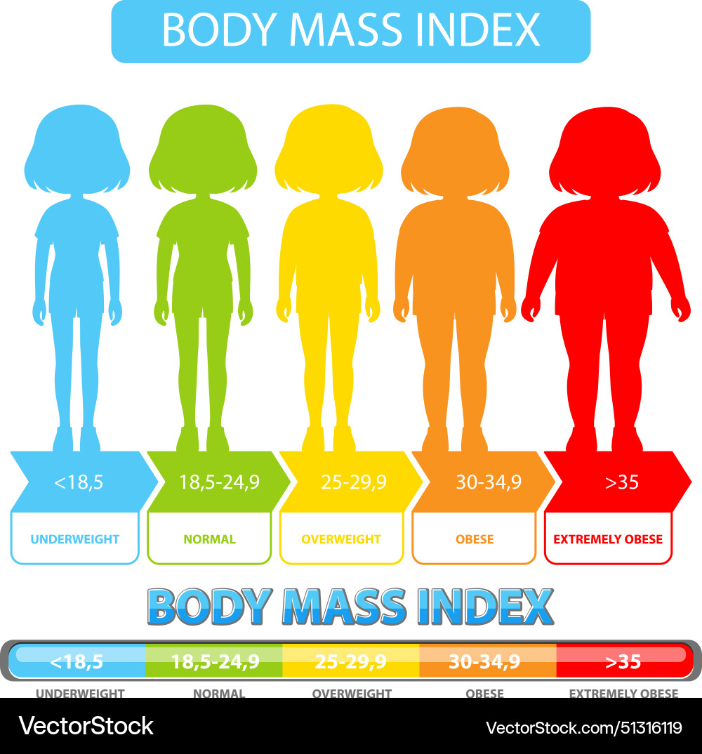 Visual Representation Of Bmi Categories And Ranges