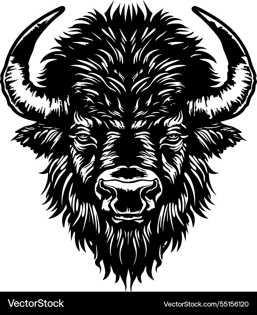 Detailed black-and-white bison head in a bold Vector Image