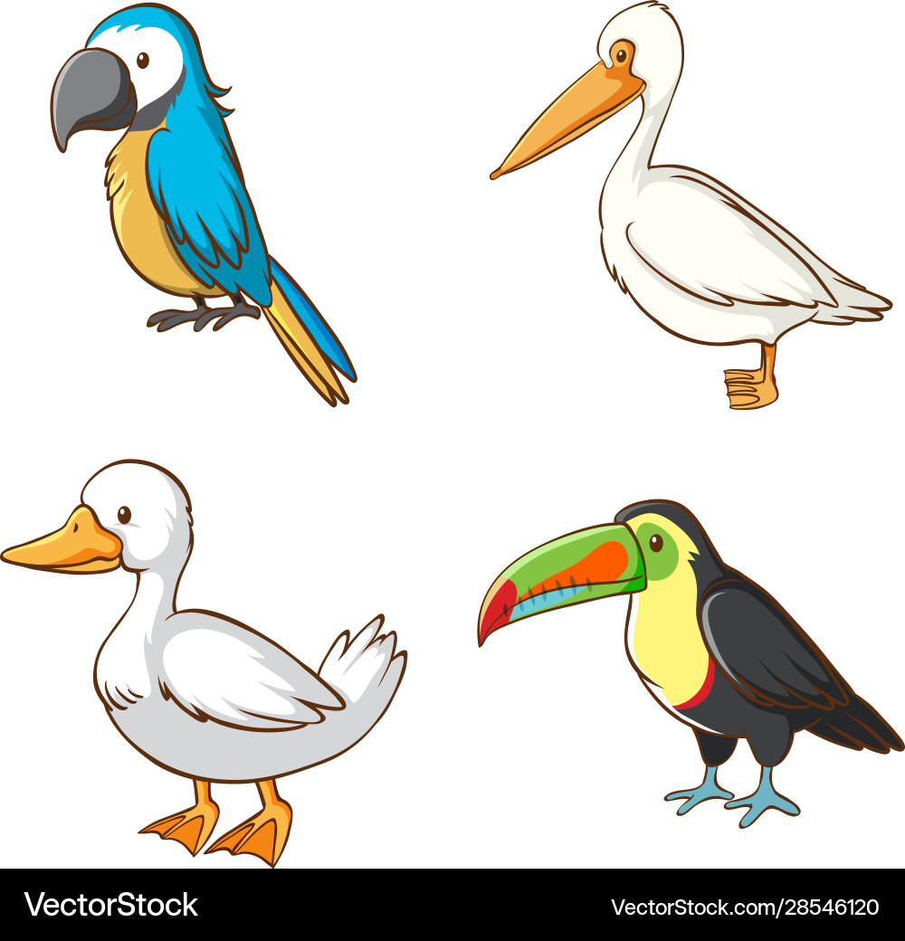 Isolated picture different birds Royalty Free Vector Image