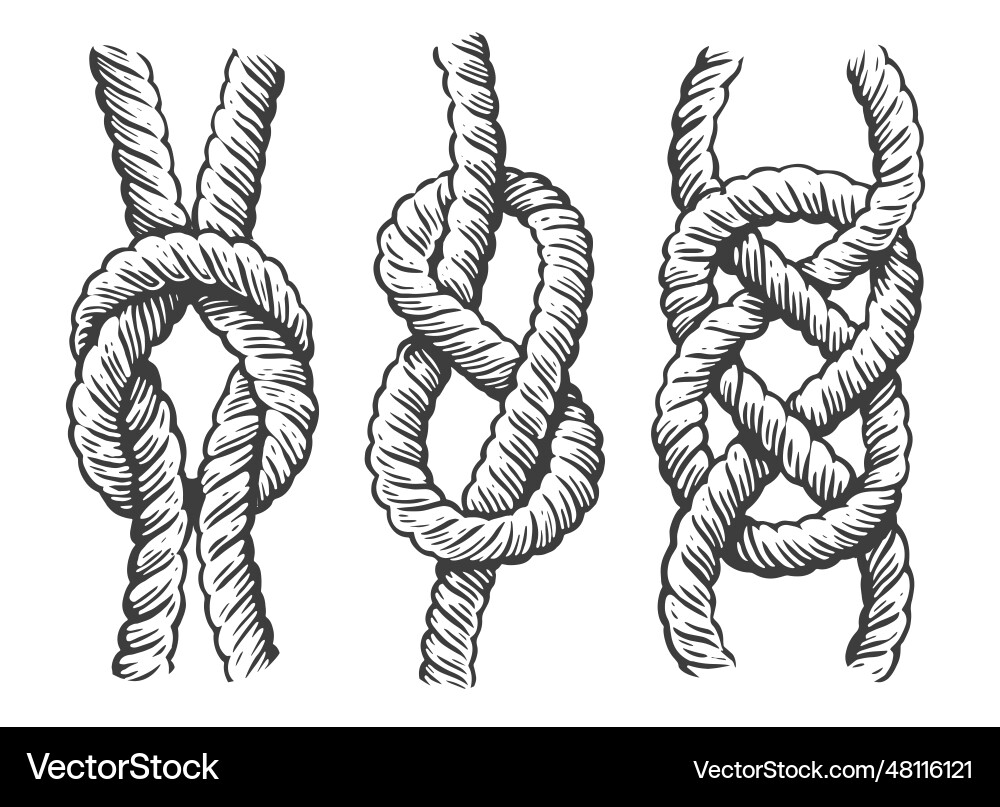 Nautical Rope Knot Clip Art Rope Svg, Nautical Rope Svg, Nautical Knot