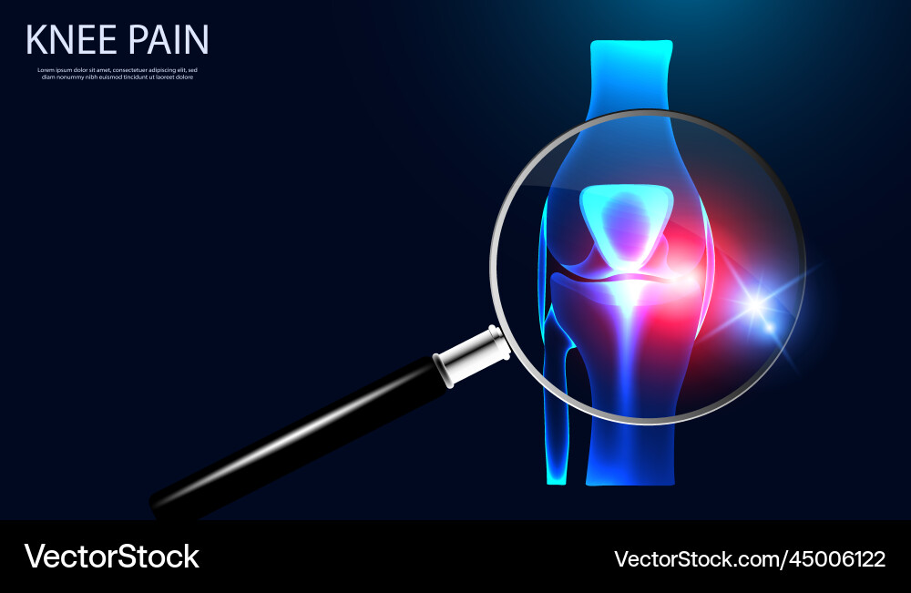 Abstract magnifying glass bone knee part anatomy Vector Image