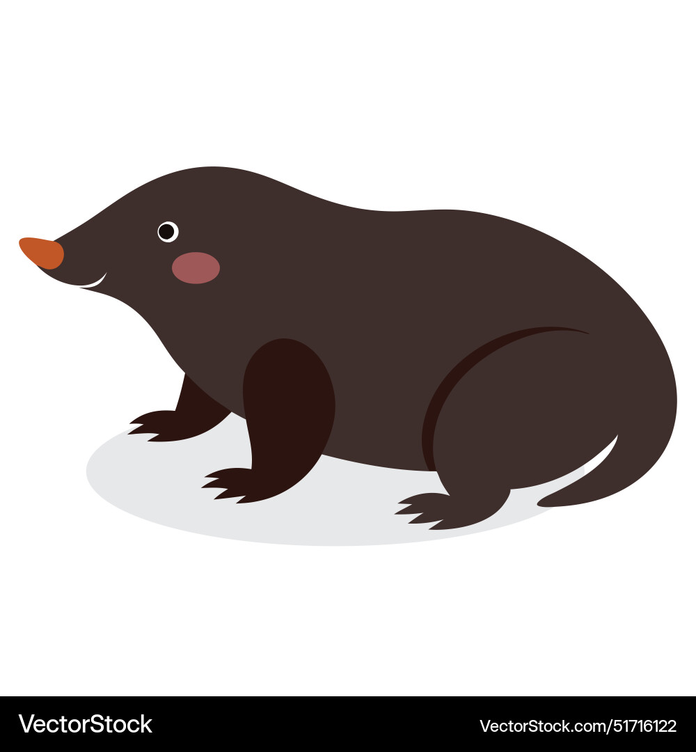 Mole animal isolated flat on white background Vector Image