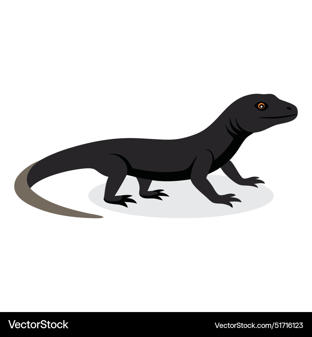 Monitor animal isolated flat on white background Vector Image