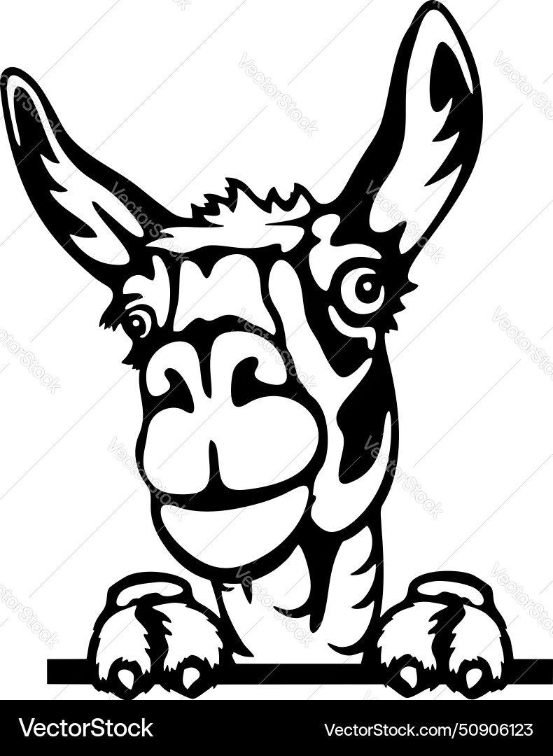 Peeking lama - funny farm animal stencil Vector Image