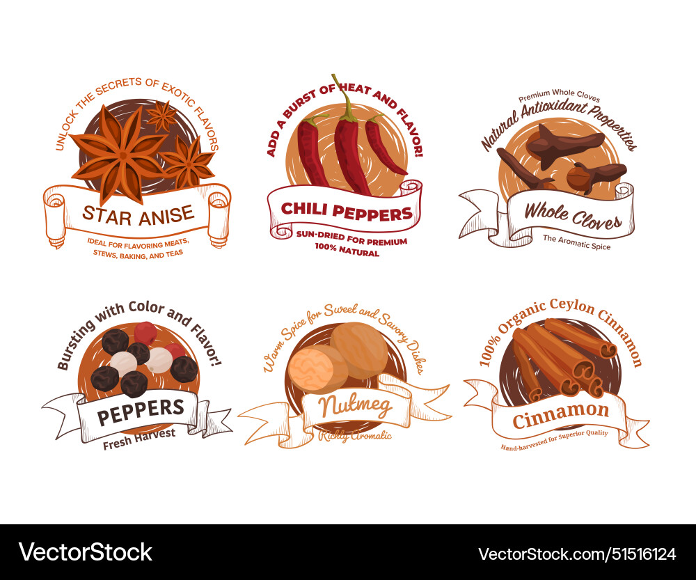 Flavoring spices for cooking round stickers Vector Image