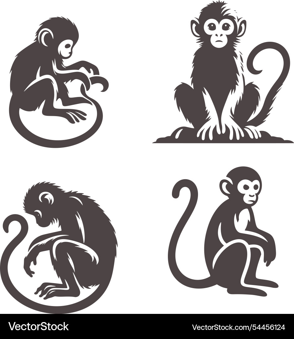 Four monkey silhouettes Royalty Free Vector Image