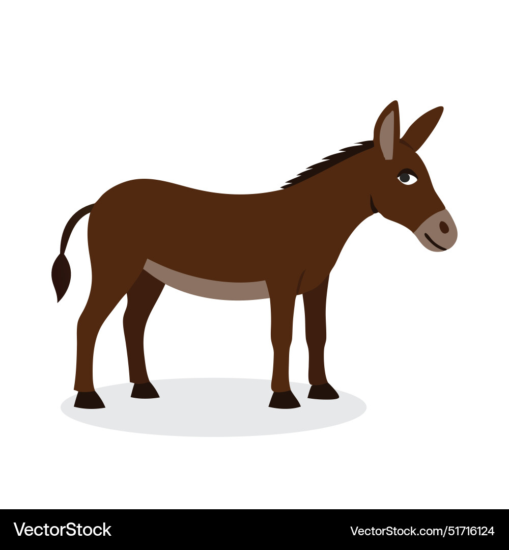 Mule animal isolated flat on white background Vector Image