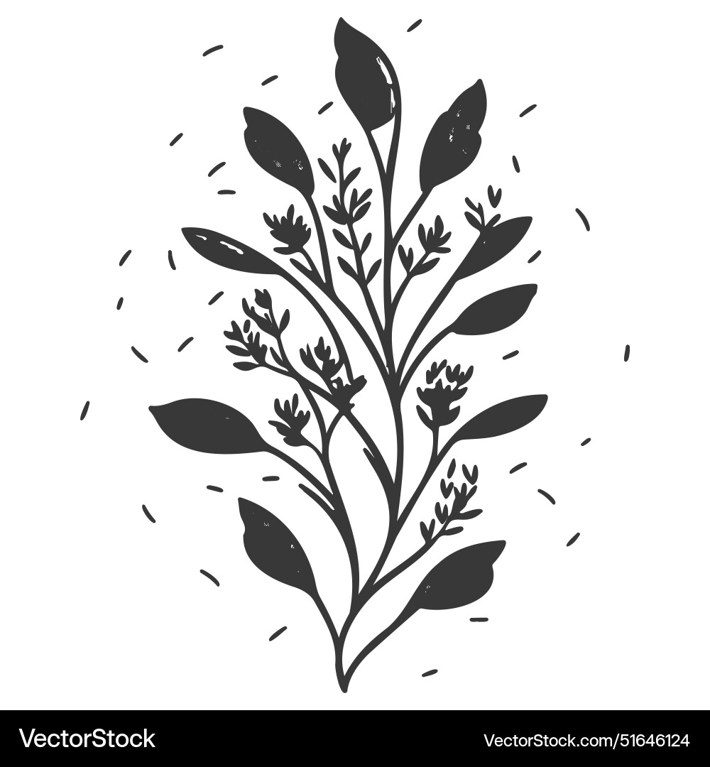 Orchid flower grey Royalty Free Vector Image - VectorStock