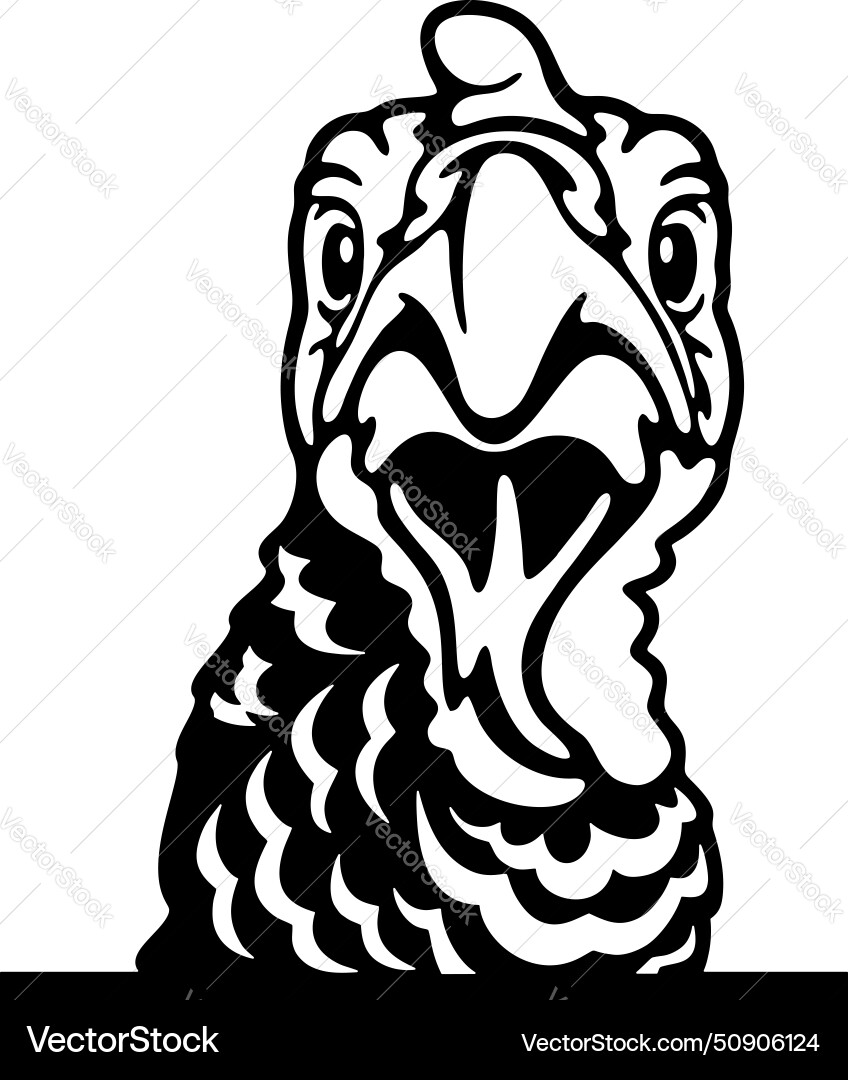 Peeking turkey - funny farm animal Royalty Free Vector Image