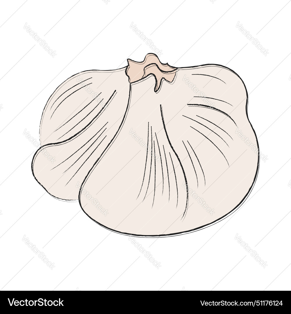 Soft fresh homemade white cheese in a bag simple Vector Image