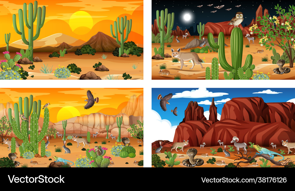 Different scenes with desert forest landscape Vector Image