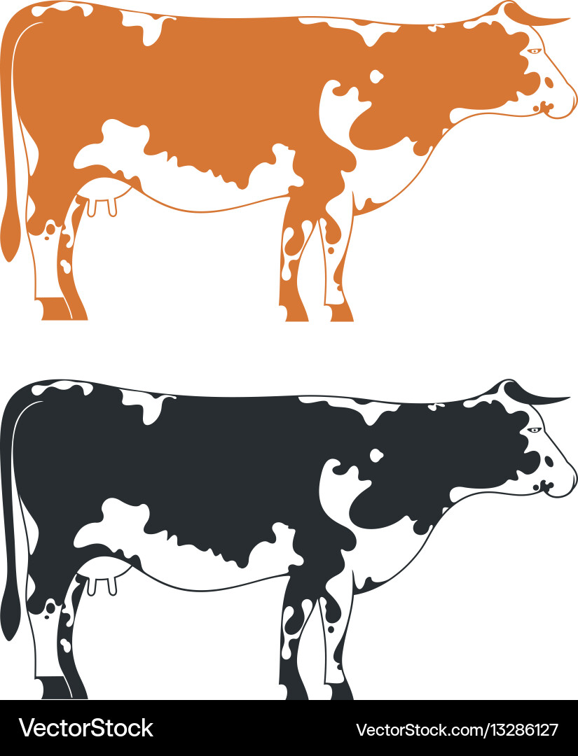 Cow Royalty Free Vector Image - VectorStock