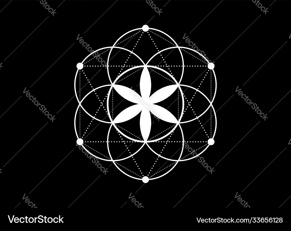 Seed life symbol sacred geometry logo icon Vector Image