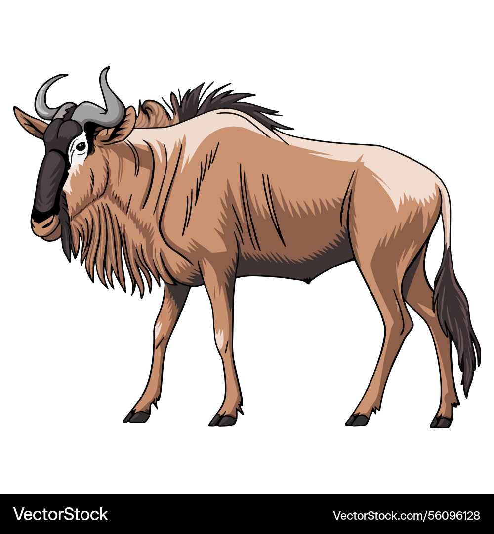 Wildebeest cartoon character in flat style Vector Image
