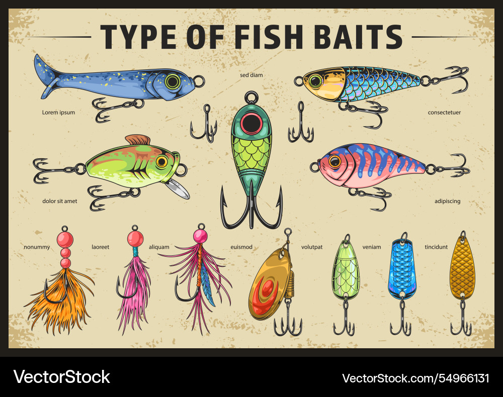 Different types of fish baits for anglers to use Vector Image